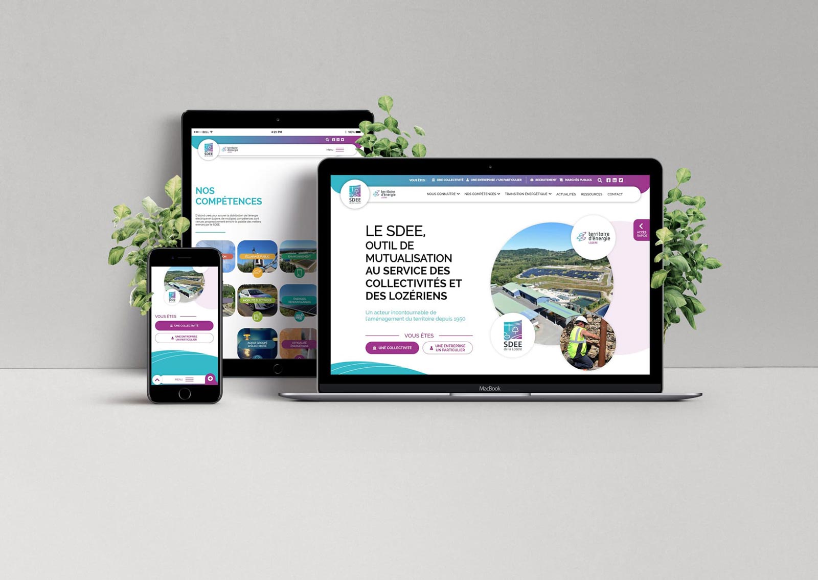 SDEE Lozère conception et développement d'un site sur mesure