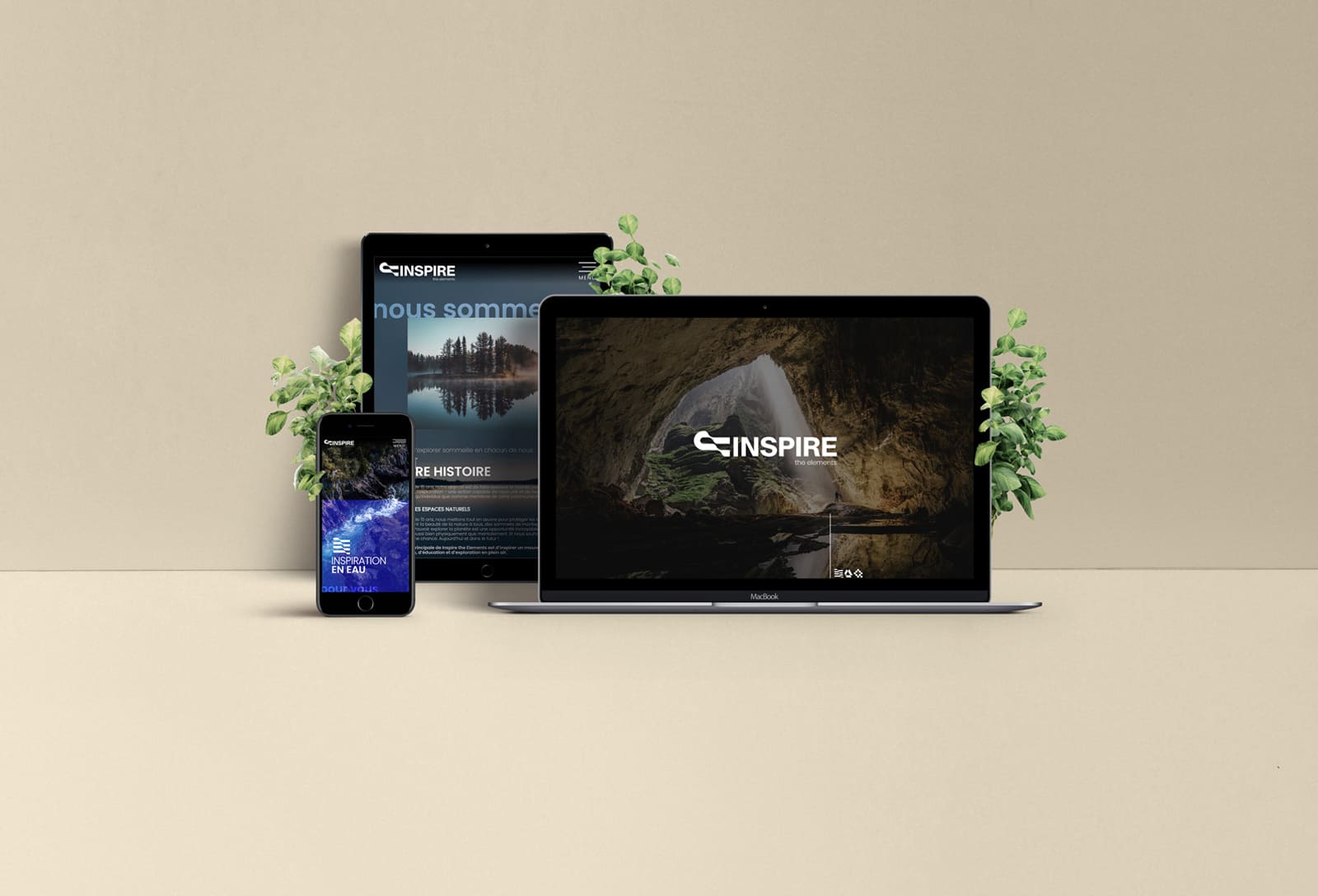 Inspire the elements - Création d'un site web unique et immersif
